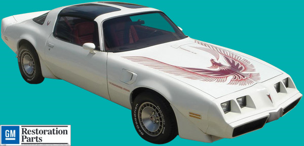 1981 Trans Am Turbo Decals and Stripe Kit